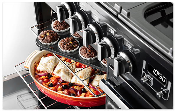Rangemaster Professional Plus 100 FX Range Cookers - Rangecookers.co.uk