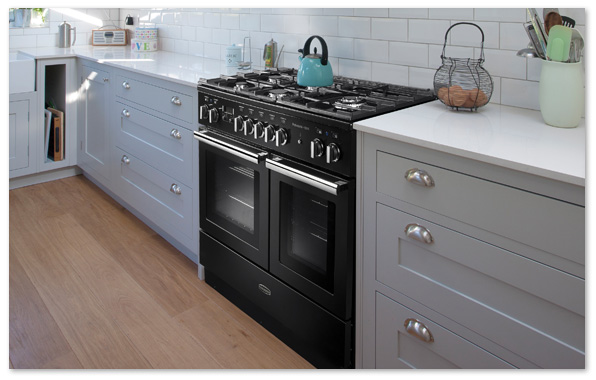 Rangemaster Professional Plus 100 FX Range Cookers - Rangecookers.co.uk