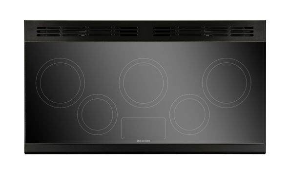 Rangemaster Professional Deluxe 110 Induction Range Cookers ...
